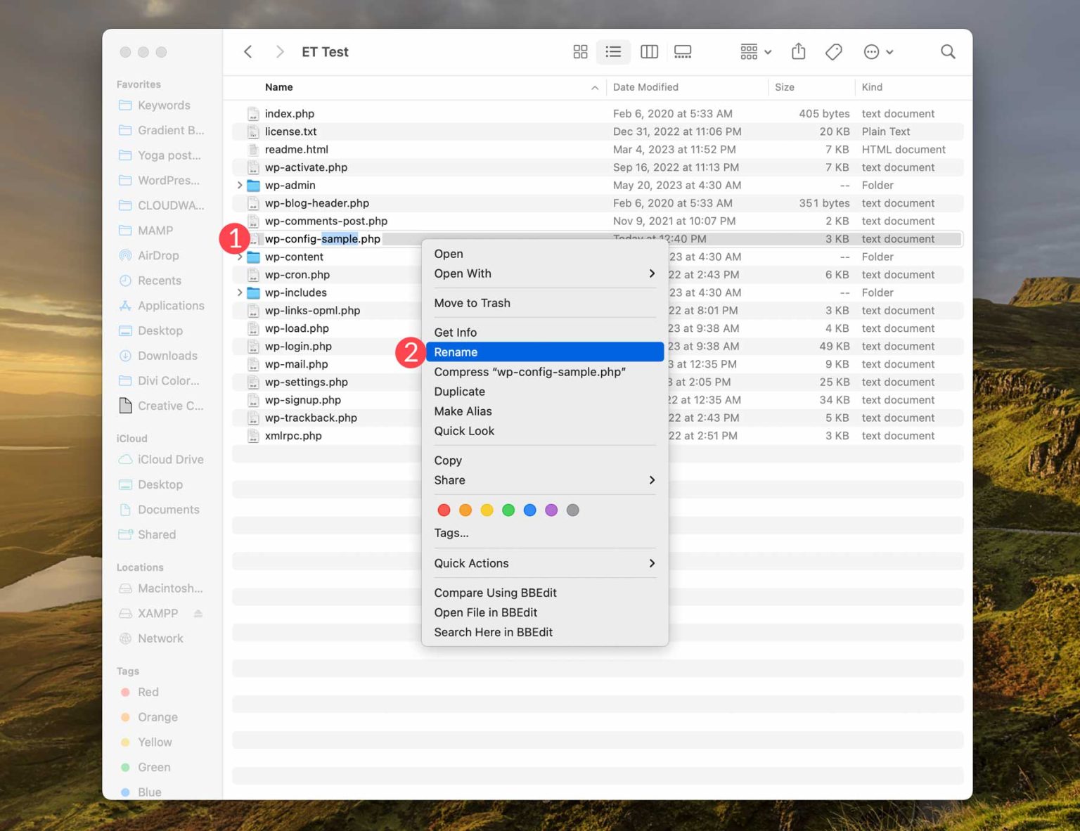 How to Host Your WordPress Website Locally in 2025 (Tutorial)