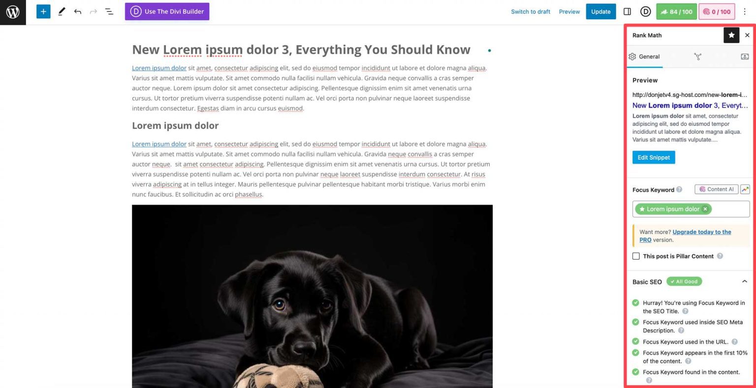 WordPress SEO: The Ultimate Beginner's Guide for 2025