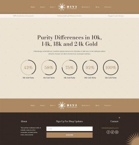 5 Ways to Style Divi's Circle Counter Module