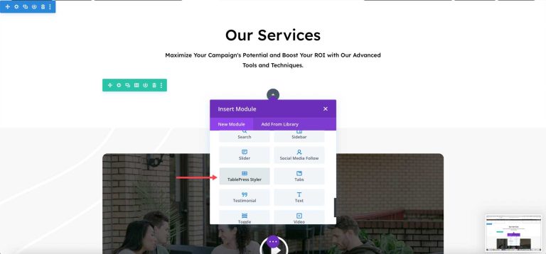 Divi Product Highlight: TablePress Styler