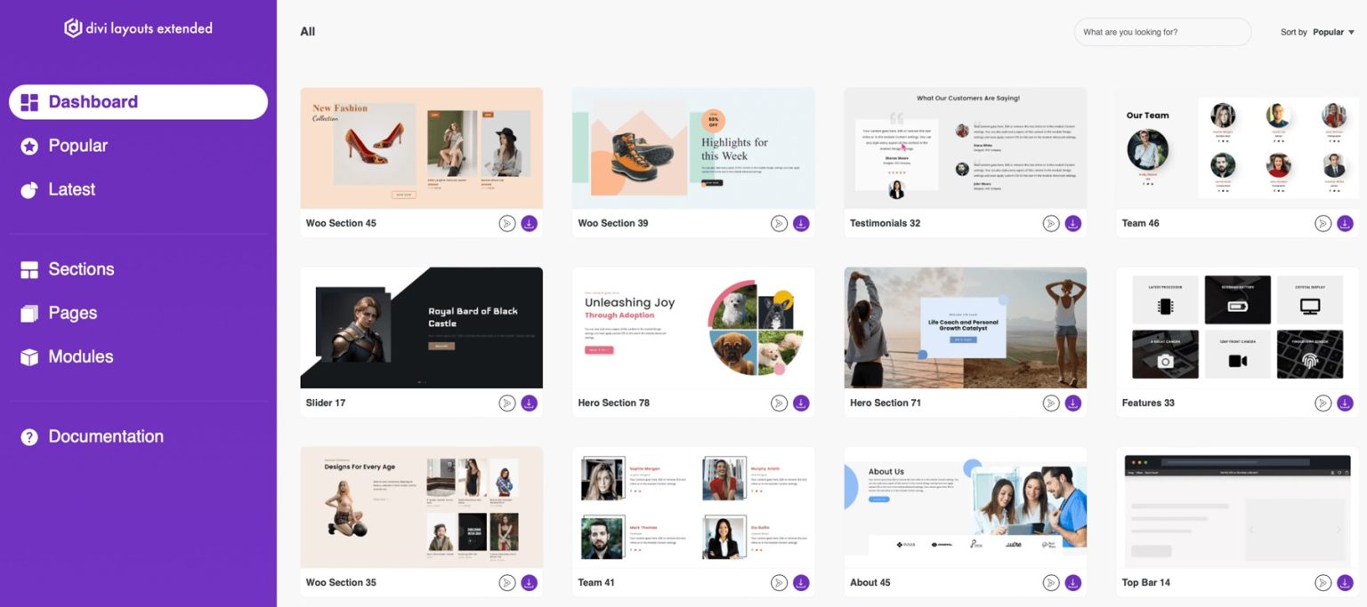 Divi Product Highlight: Divi Layouts Extended