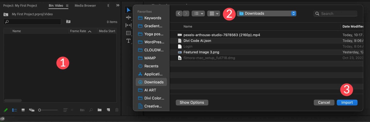 Adobe Premiere Pro Review: Features, Pricing & Guide (2025)