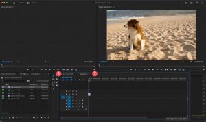 Adobe Premiere Pro 2023: Features, Pricing & Guide Review | IM Tools HQ