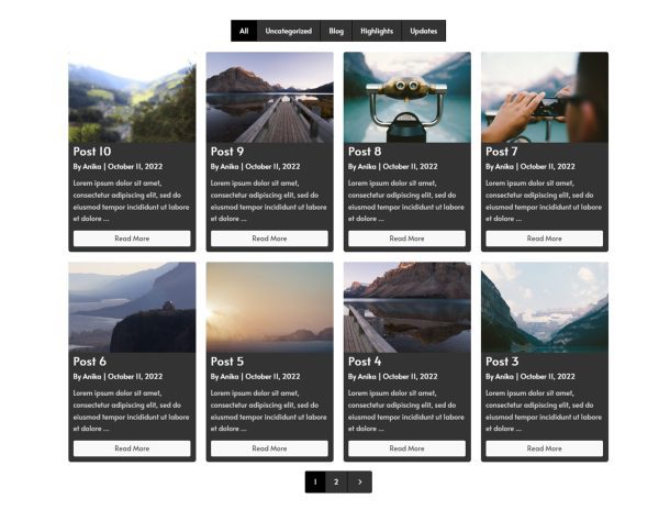Divi Plugin Highlight: Divi FilterGrid