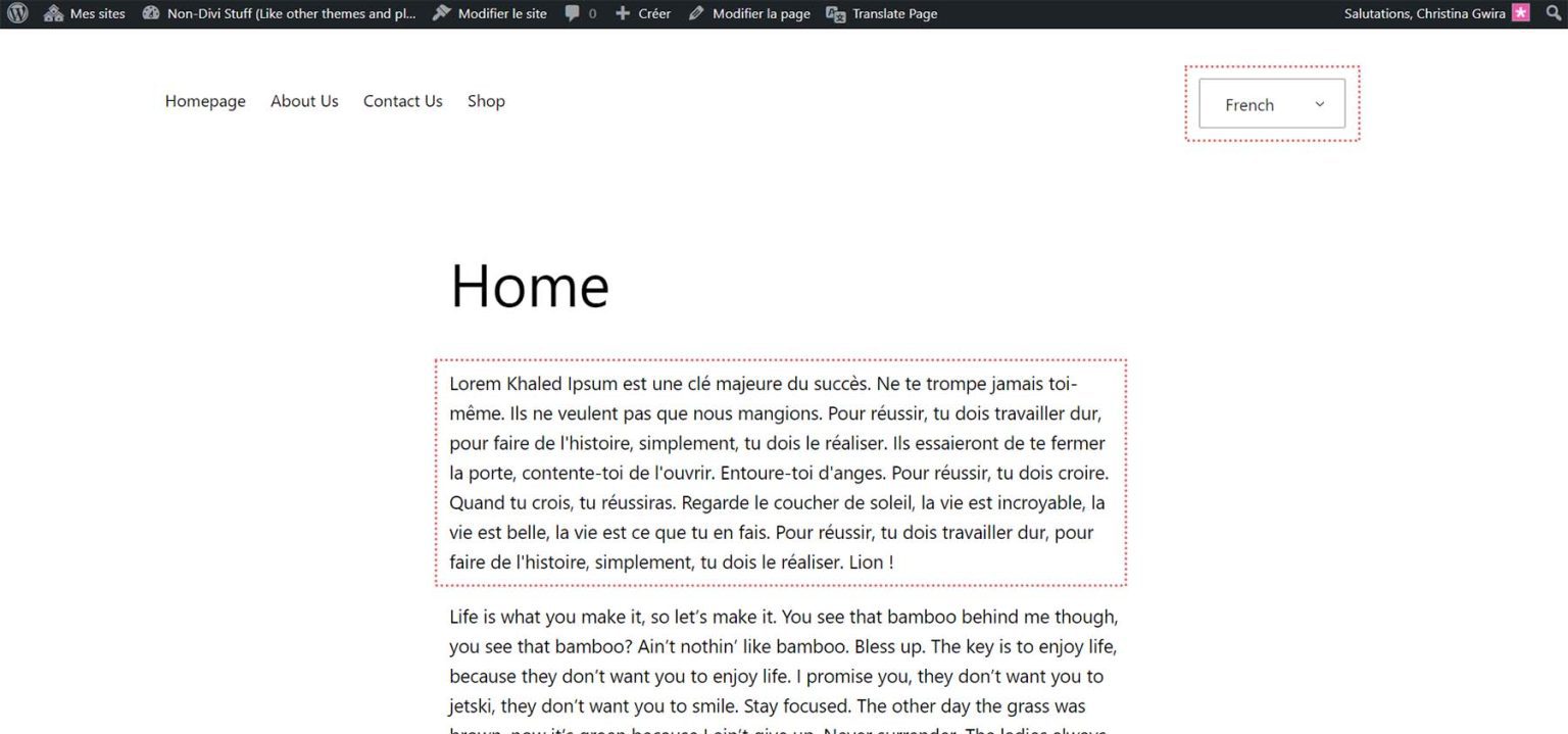 How to Translate WordPress Websites in 2025 (Beginner's Guide)