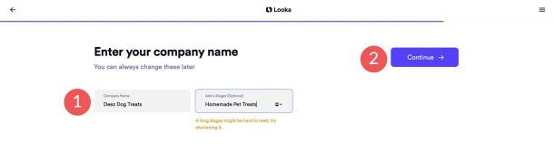 Looka Review: Features, Tutorial, & More (2025)
