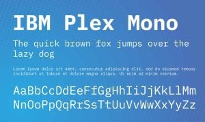 15 Best Divi Fonts to Try in 2025 (Top Pairings & Pro Tips)