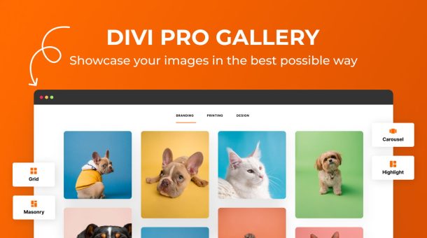6 Best Divi Gallery Plugins to Impress Site Visitors in 2025