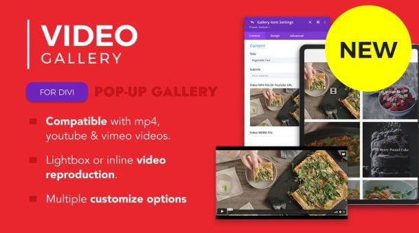 6 Best Divi Gallery Plugins to Impress Site Visitors in 2025