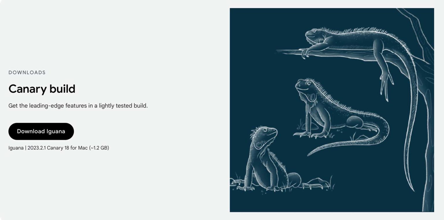 13 Best AI Coding Assistant Tools in 2024 (Most Are Free)