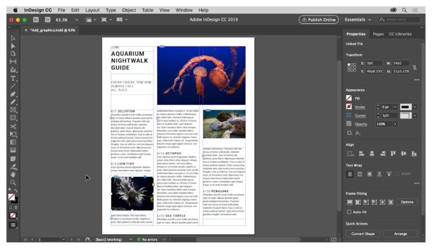 12 Best Graphic Design Software in 2025 (Compared)