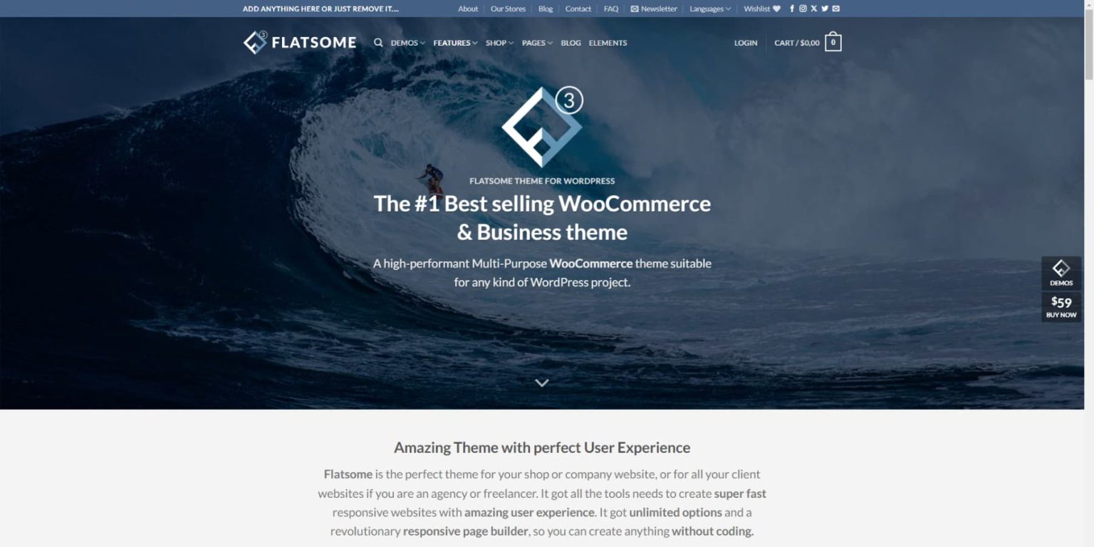 10 Best Ecommerce WordPress Themes in 2025 (Compared)