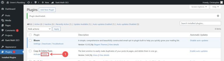 What is a WordPress Plugin? A Beginner's Guide for 2025