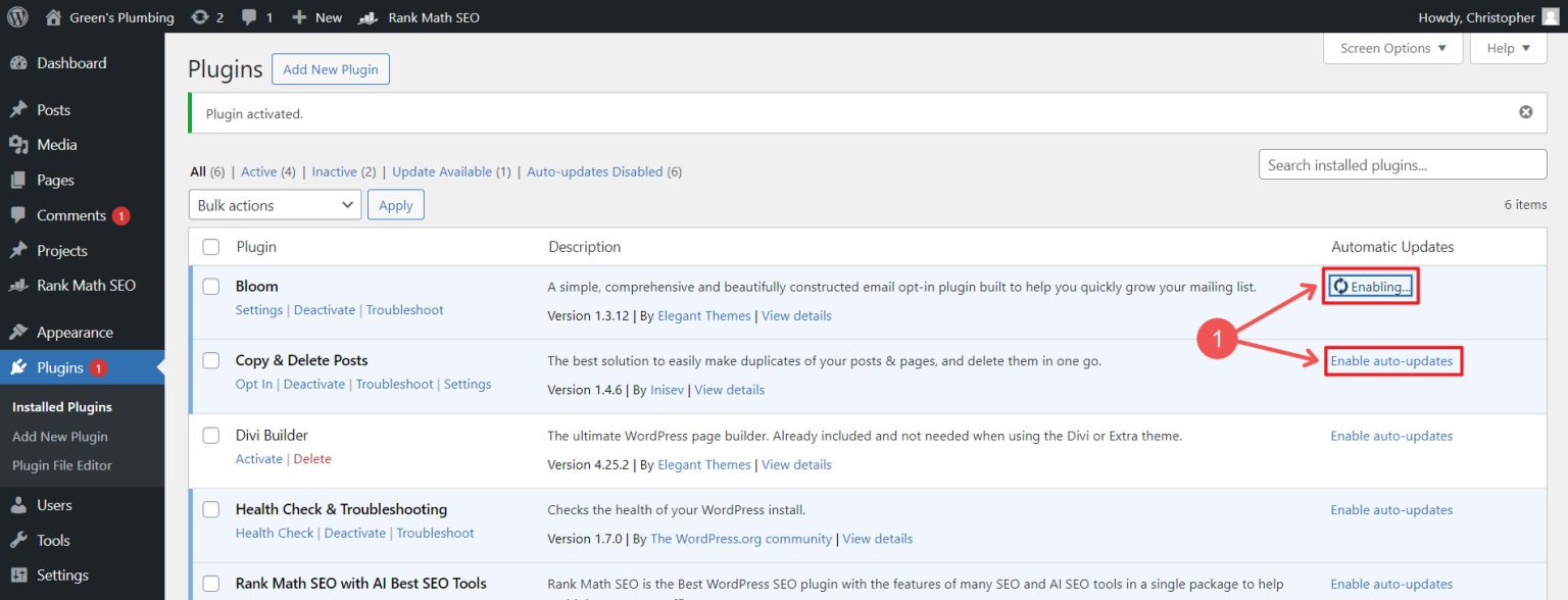 What is a WordPress Plugin? A Beginner's Guide for 2025