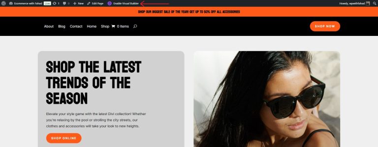 How To Make An Ecommerce Website In 2025 (Easy Guide)
