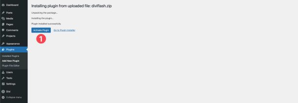 Divi Plugin Highlight: DiviFlash