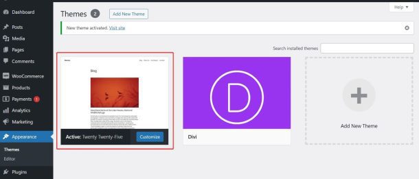 Should You Use WordPress Default Themes? A Guide for 2025