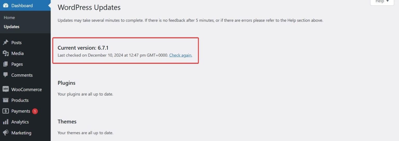 Should You Use WordPress Default Themes? A Guide for 2025