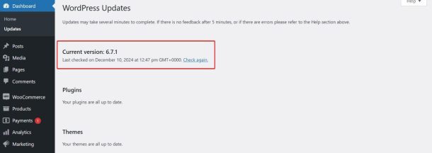 Should You Use WordPress Default Themes? A Guide for 2025