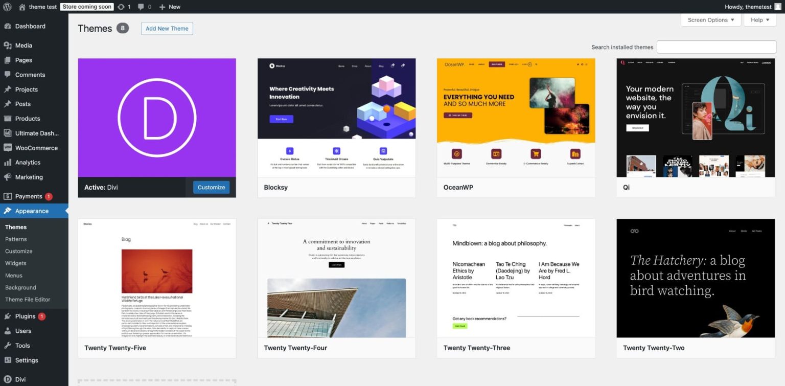What is a WordPress Theme & How to Pick The Right One