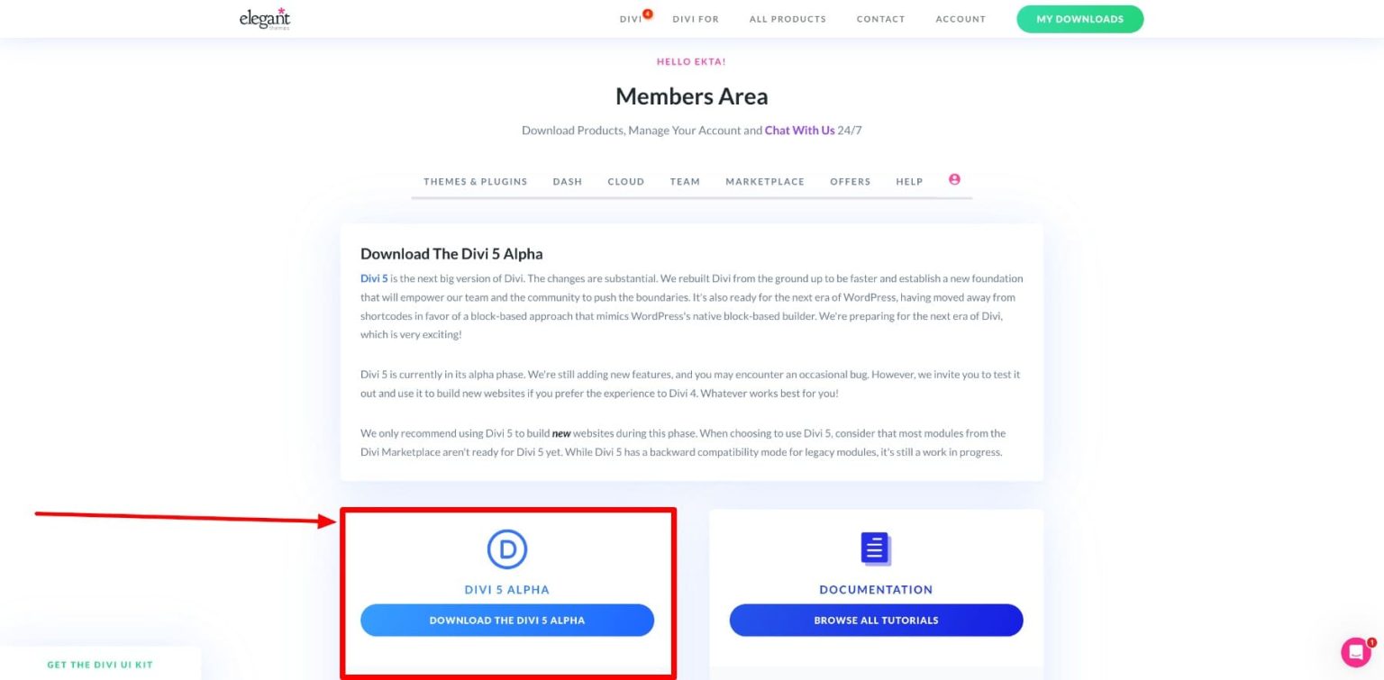 Divi 5 Beginner's Guide: How To Master The Basics