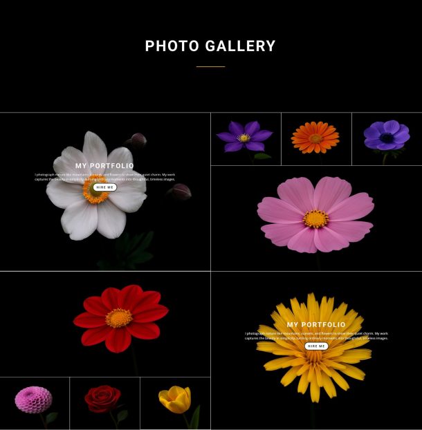 6 New Image Galleries Built With Divi 5's Nested Rows (Free Download)