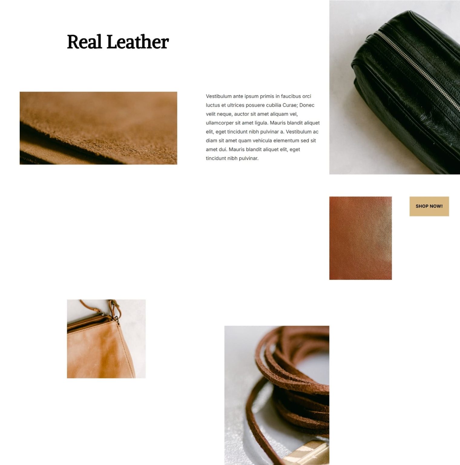 6 New Image Galleries Built With Divi 5's Nested Rows (Free Download)