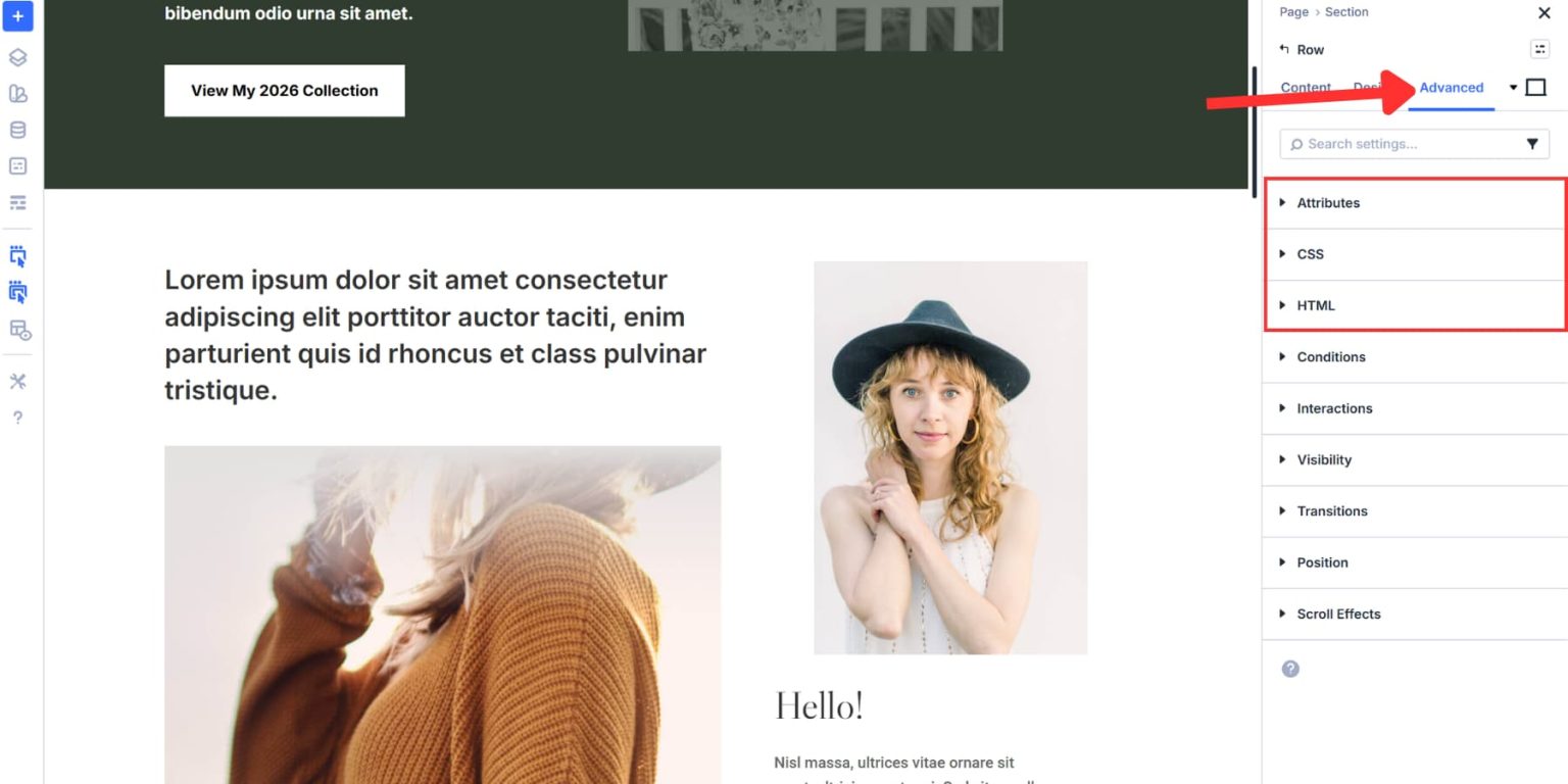When To Use Section, Aside, And Main HTML Elements In Divi 5