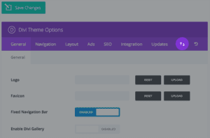 Importing & Exporting Divi Builder Layouts & Library Collections ...
