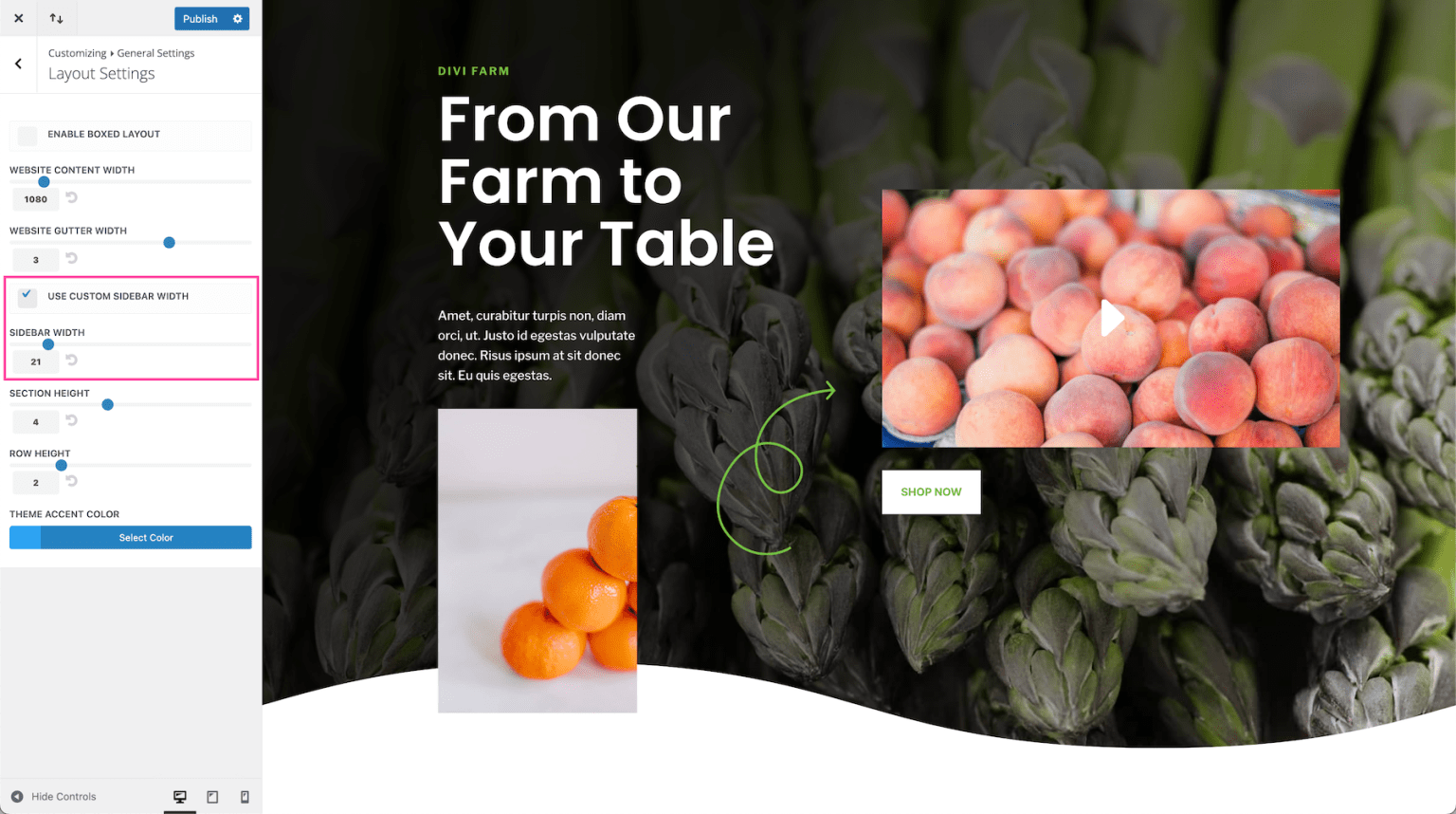 Using Divi Spacing Options | Elegant Themes Documentation