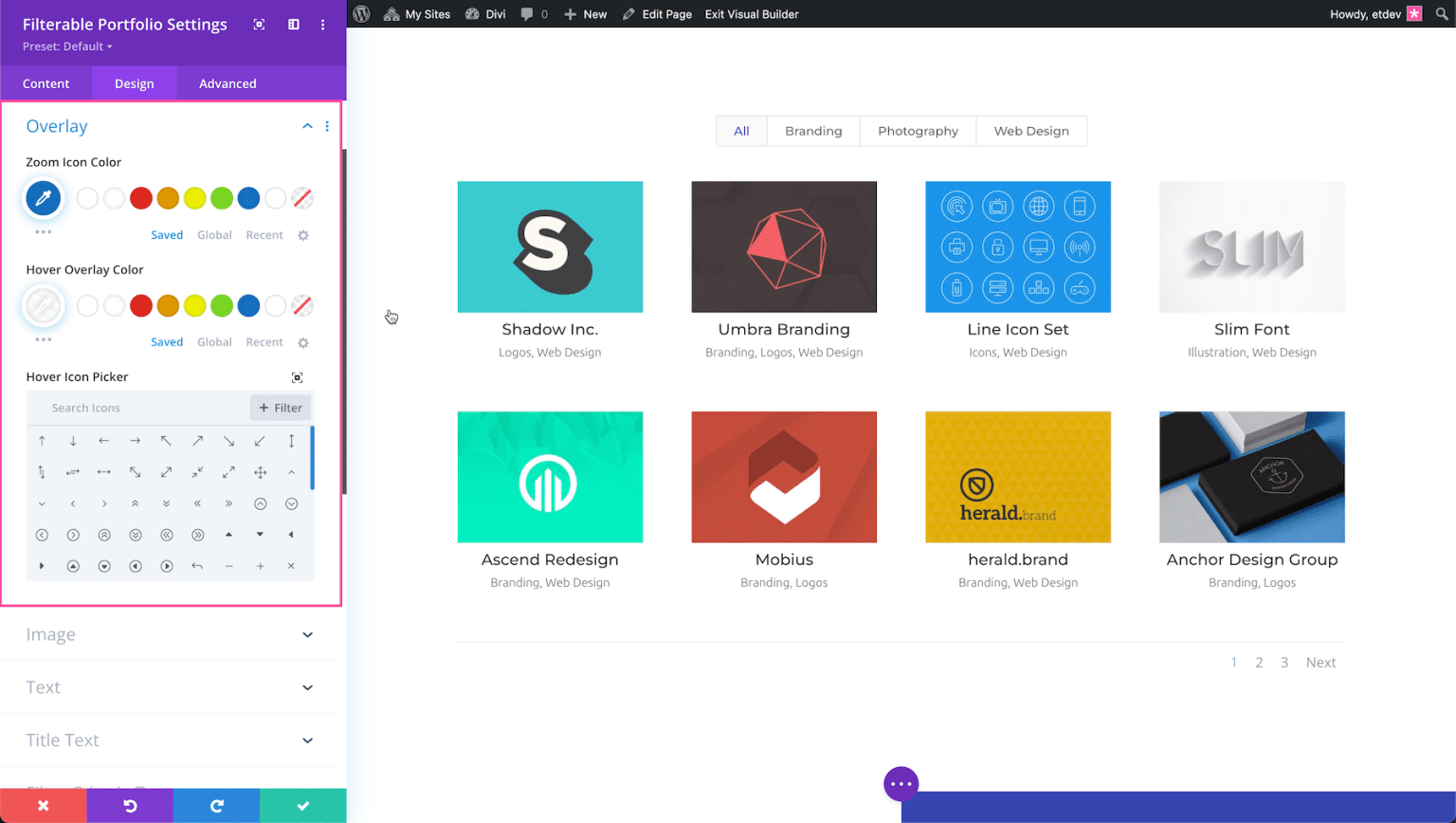 The Divi Filterable Portfolio Module | Elegant Themes Documentation
