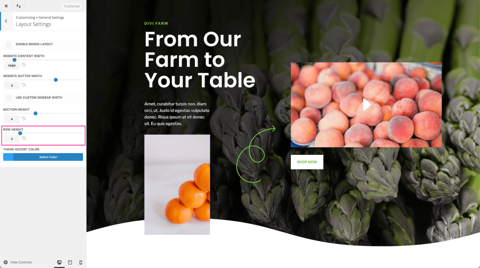 Using Divi Spacing Options | Elegant Themes Documentation