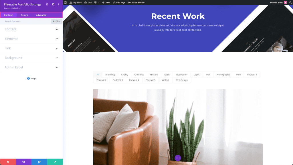 The Divi Filterable Portfolio Module | Elegant Themes Documentation