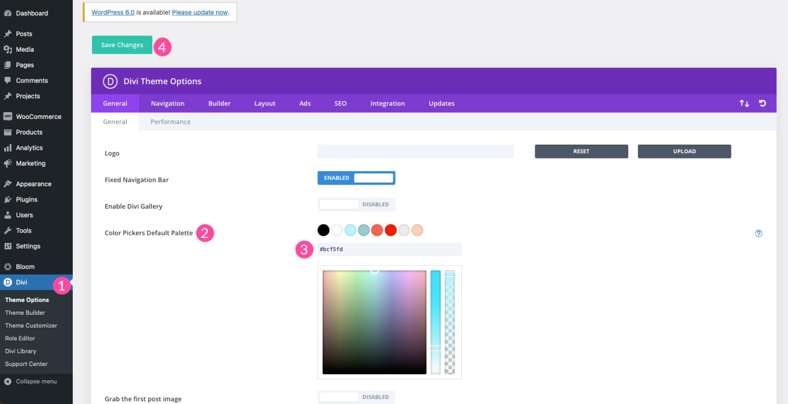 The Divi Color Management System | Elegant Themes Documentation