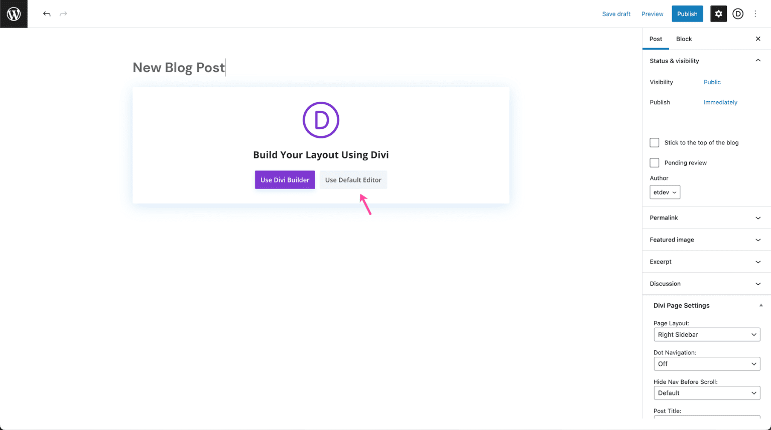 How To Use Divi Blog Post Formats | Elegant Themes Documentation