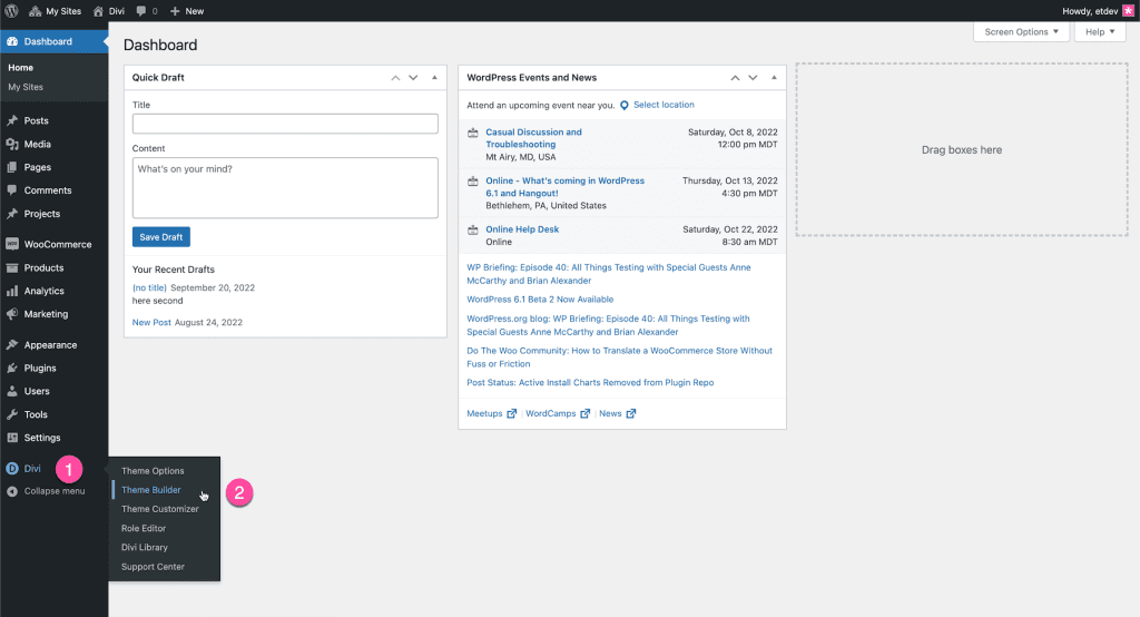 The Divi Woo Cart Products Module | Elegant Themes Documentation