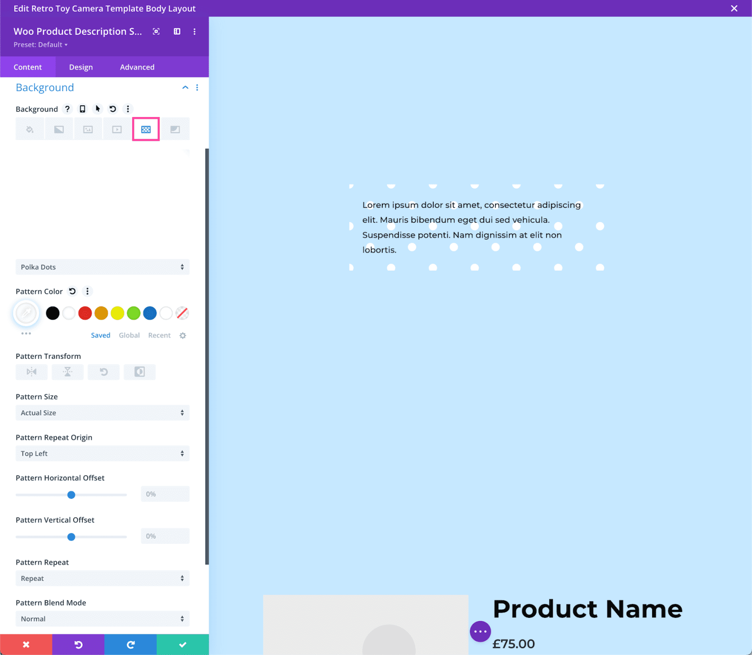 The Divi Woo Product Description Module | Elegant Themes Documentation