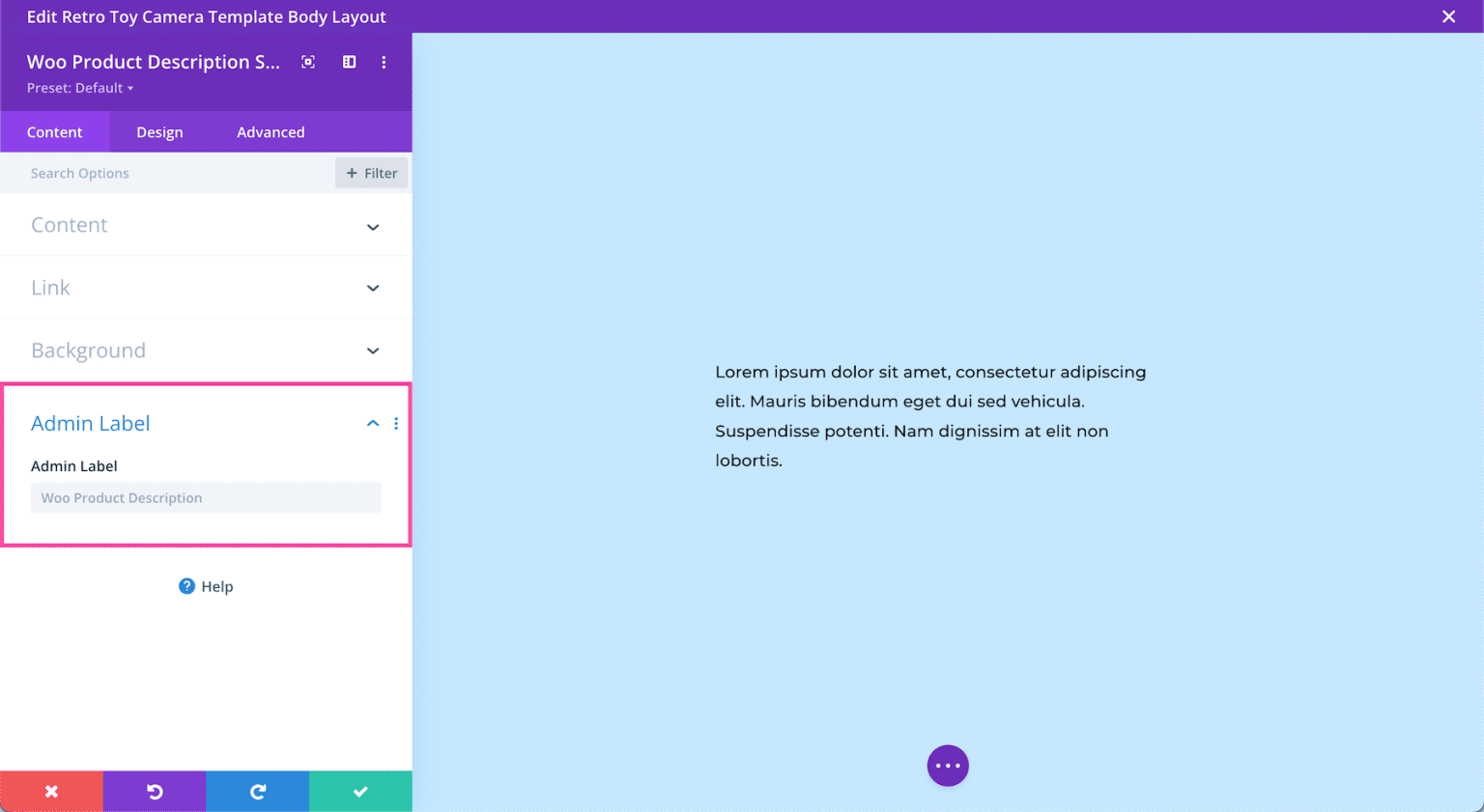 The Divi Woo Product Description Module | Elegant Themes Documentation