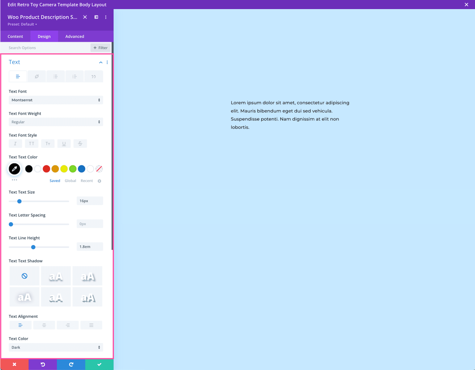 The Divi Woo Product Description Module | Elegant Themes Documentation