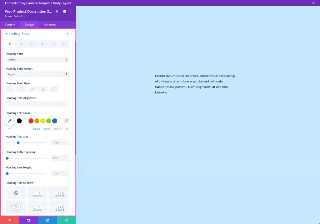 The Divi Woo Product Description Module | Elegant Themes Documentation