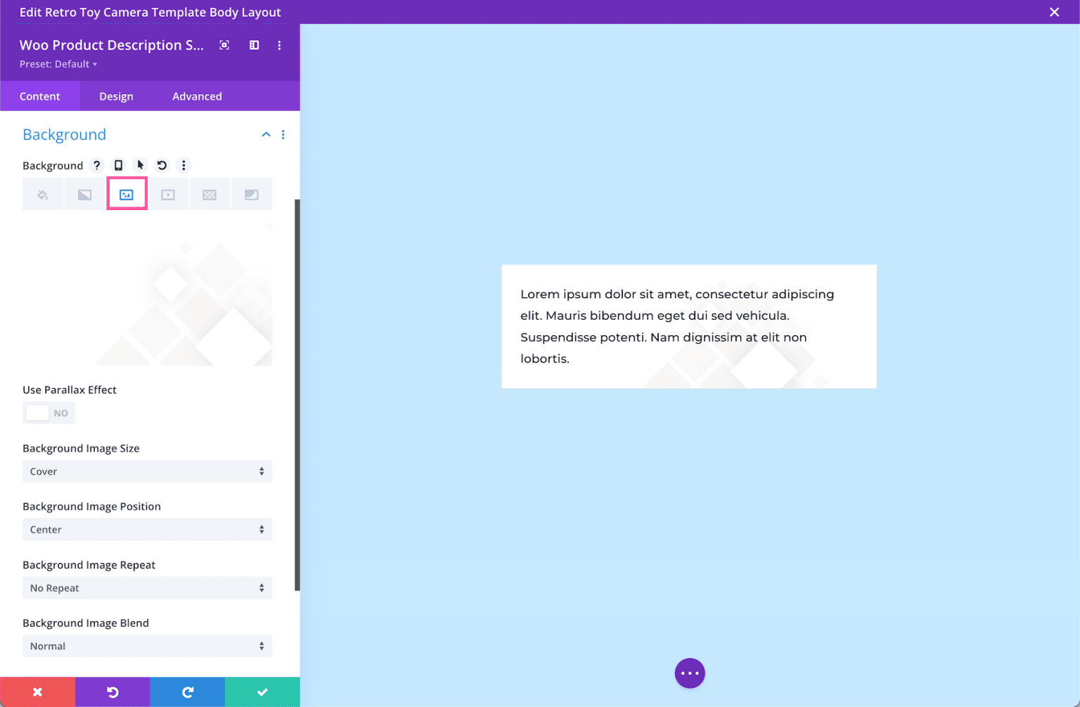 The Divi Woo Product Description Module | Elegant Themes Documentation