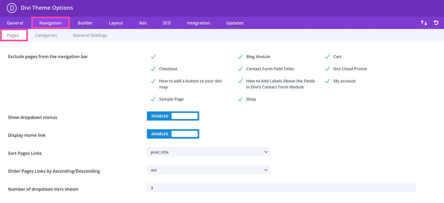 Using The Divi Theme Options | Elegant Themes Documentation