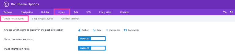 Using The Divi Theme Options | Elegant Themes Documentation