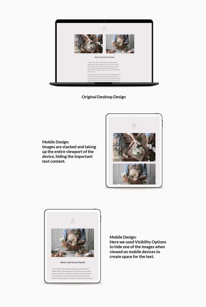 Using Divi Visibility Options Elegant Themes Documentation