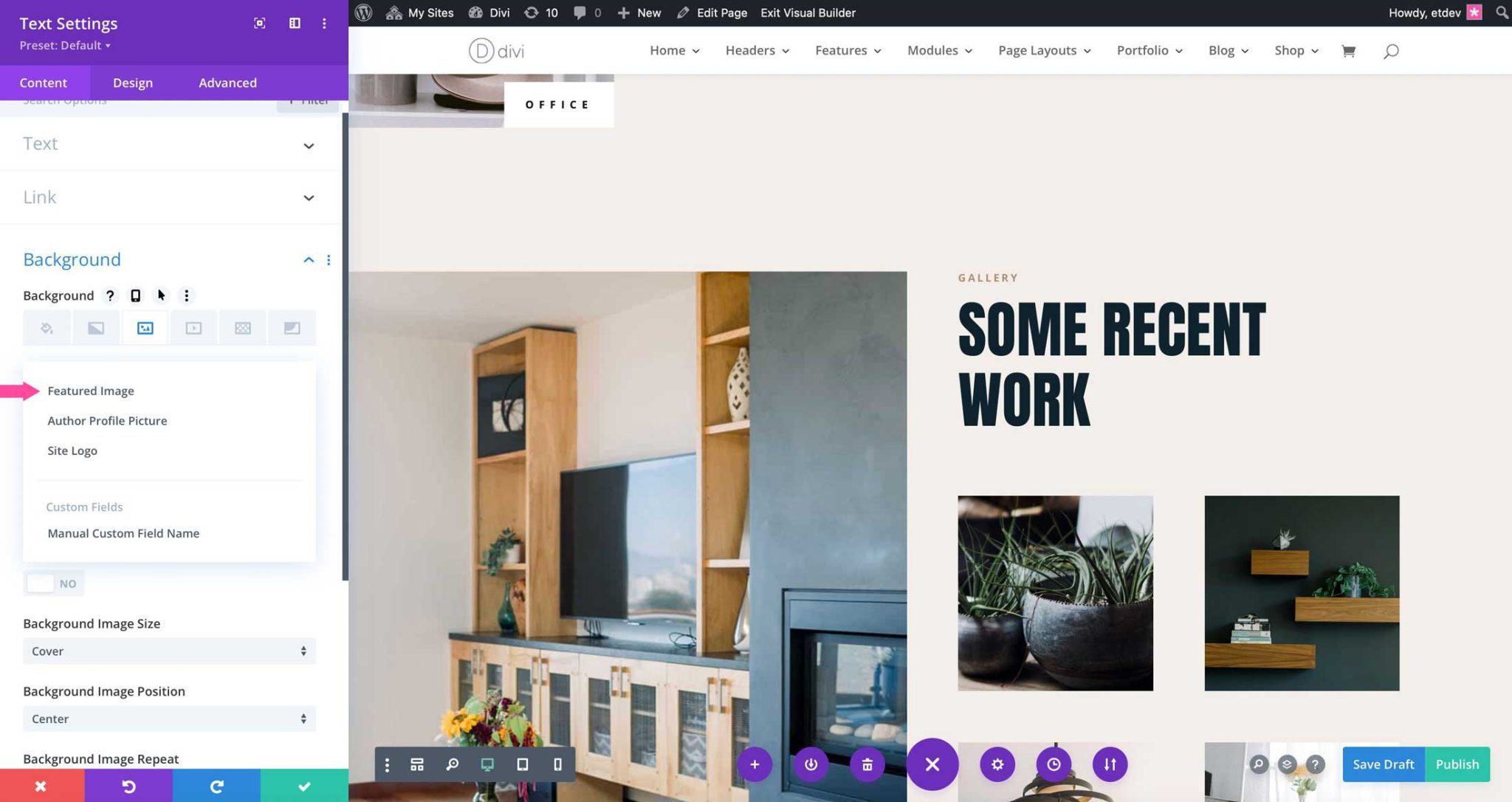 Using Divi Dynamic Content Options | Elegant Themes Documentation Using Divi Dynamic Content Options | Elegant Themes Documentation