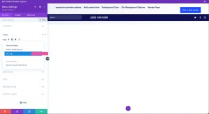 Using Divi Dynamic Content Options | Elegant Themes Documentation