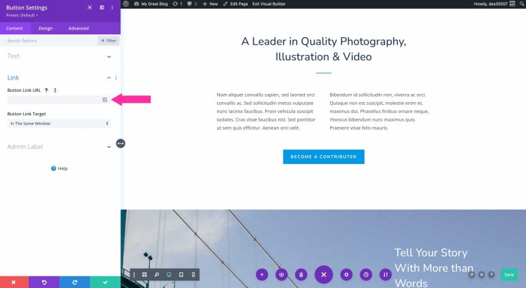 Using Divi Dynamic Content Options Elegant Themes Documentation