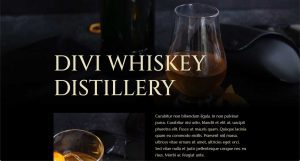 The Divi Text Module | Elegant Themes Documentation