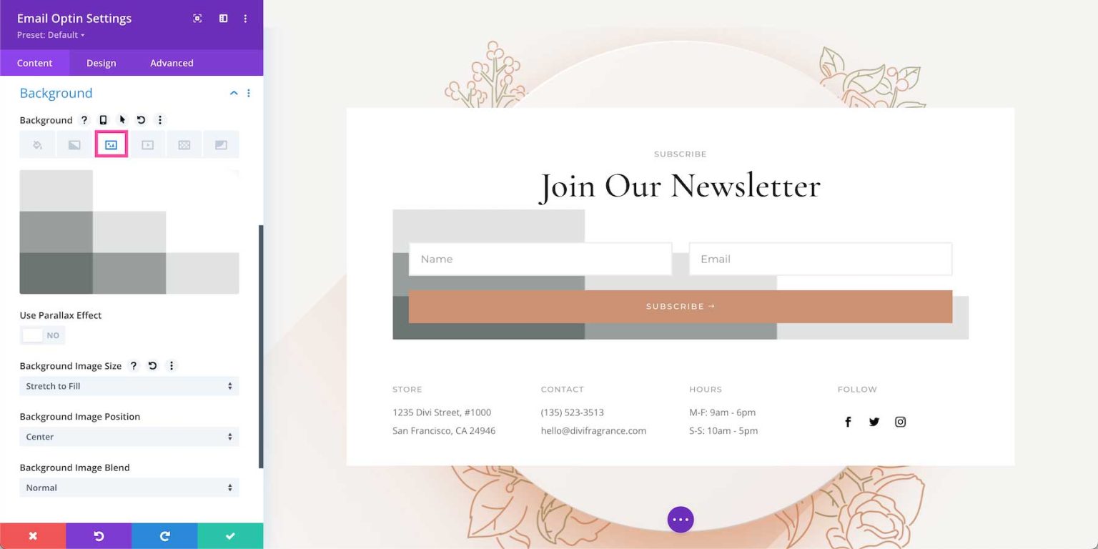 The Divi Email Optin Module | Elegant Themes Documentation