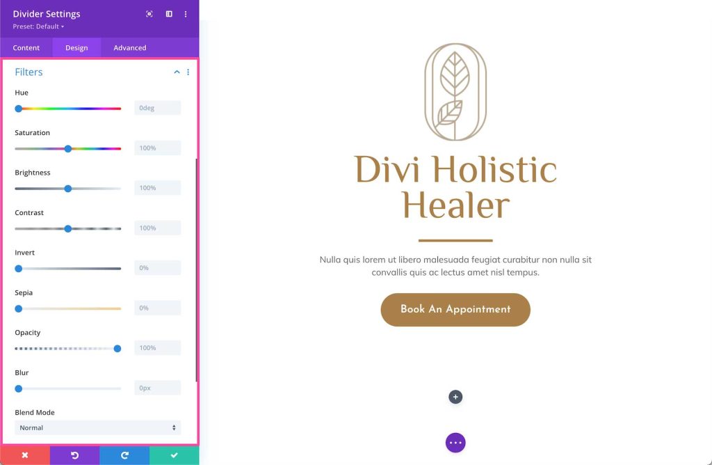 The Divi Divider Module | Elegant Themes Documentation